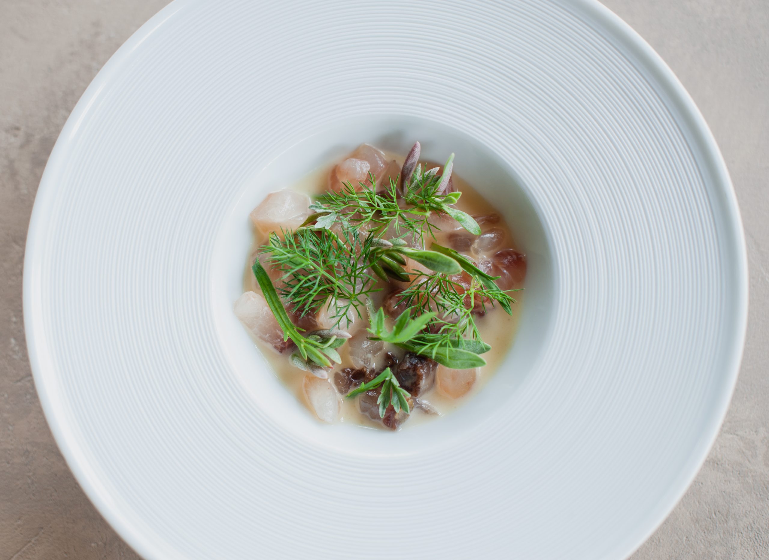 Osteria Contemporanea – Menù + Wine Pairing – Venissa Voucher Shop ...